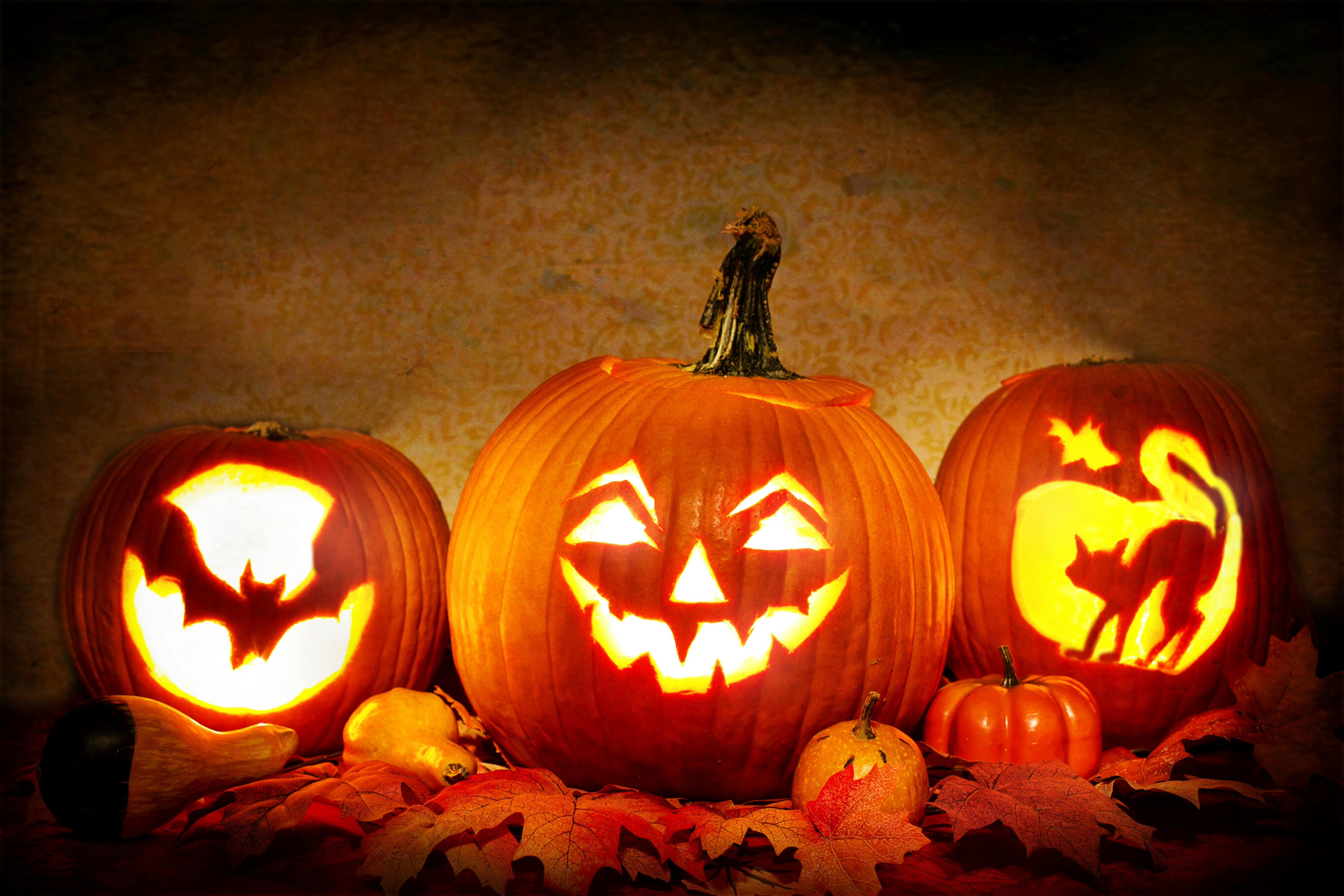 Halloween Ramp Decorations: Creative Ways to Incorporate Ramps into ...